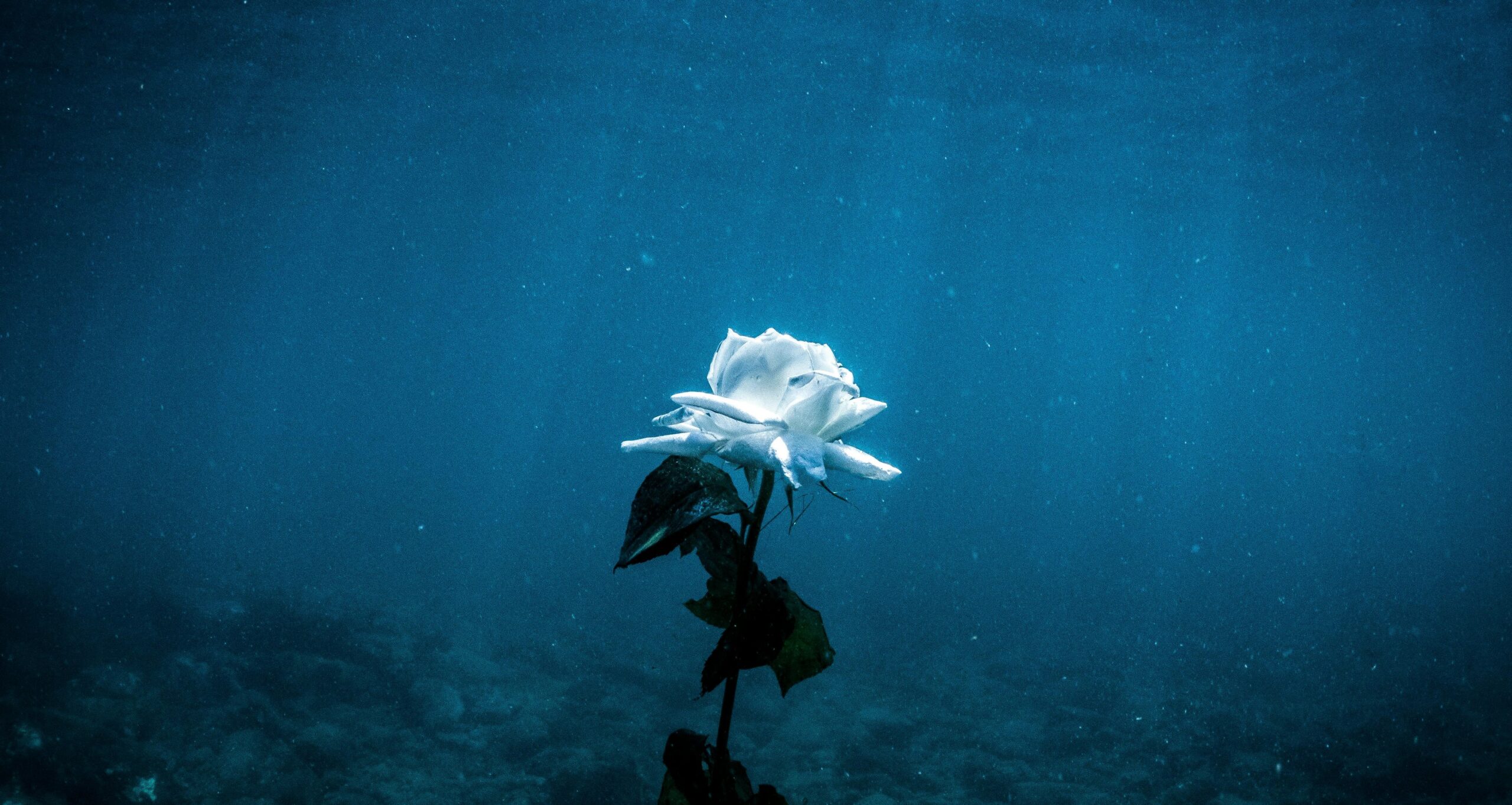 End-It Now - Adventiste.ch - Une église proche, durable, vivante